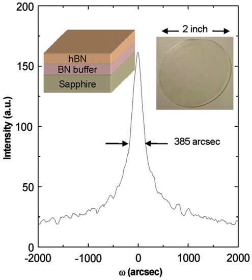 Progress in Hexagonal Boron Nitride (h-BN)-Based Solid-State Neutron ...