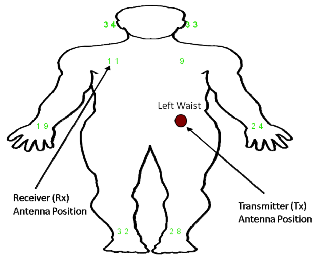 Experimental Investigation of Subject-Specific On-Body Radio ...