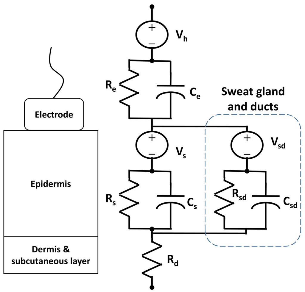 E-textiles in Clinical Rehabilitation: A Scoping Review