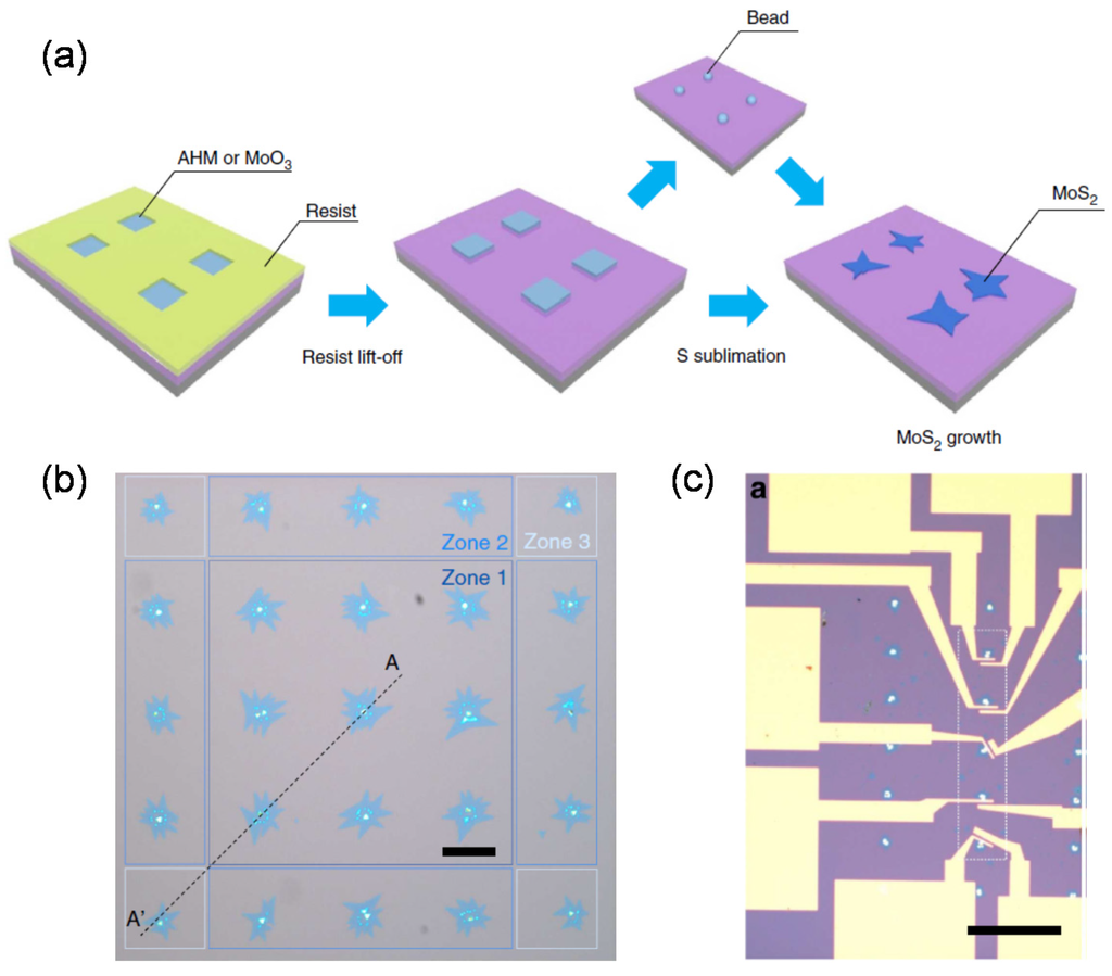 Electronics | Special Issue : Two-Dimensional Electronics - Prospects ...
