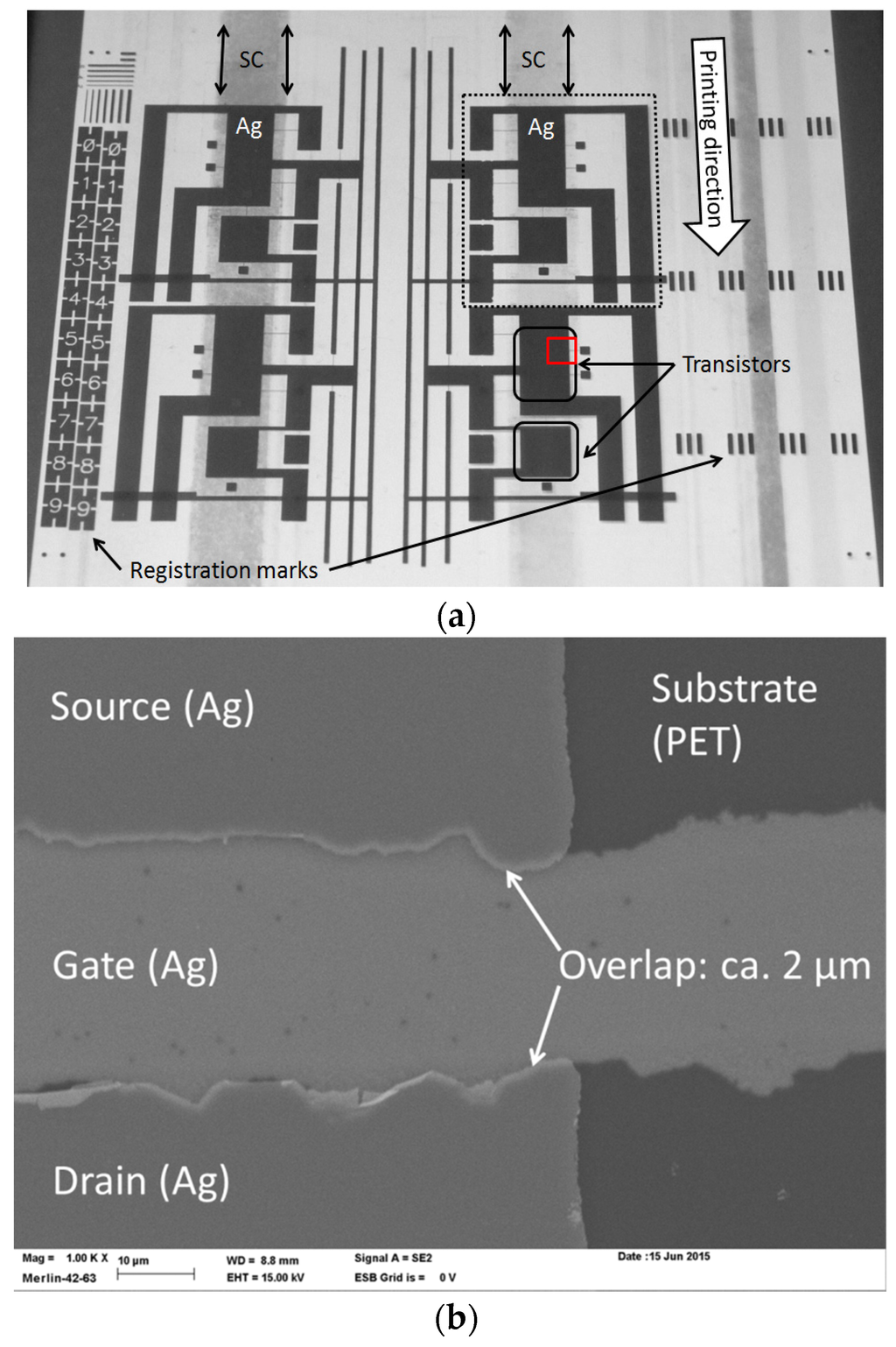 Self-Aligned Metal Electrodes in Fully Roll-to-Roll Processed Organic ...
