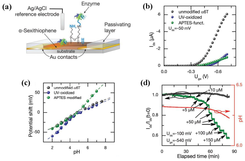 Electrolytic Gated Organic Field-Effect Transistors for Application in ...