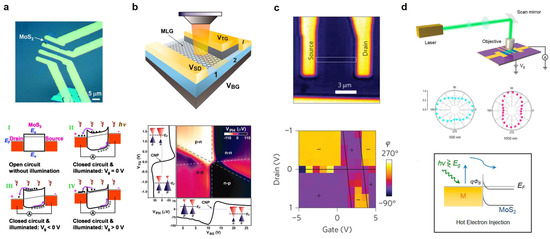 Photonic Structure-Integrated Two-Dimensional Material Optoelectronics