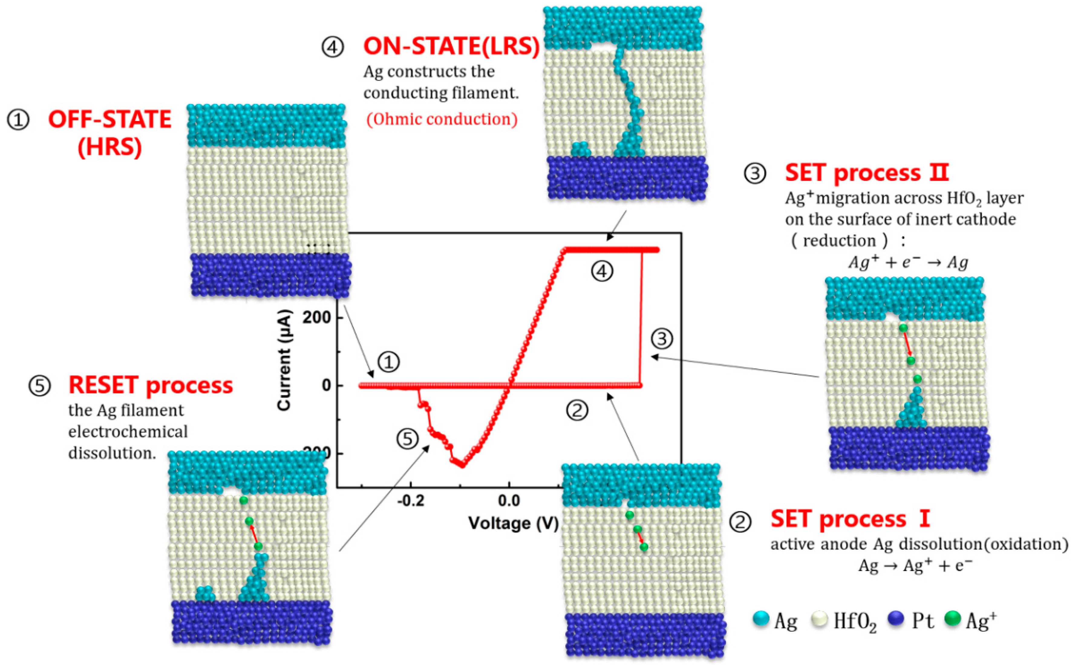 CMOS Compatible Bio-Realistic Implementation with Ag/HfO2-Based ...