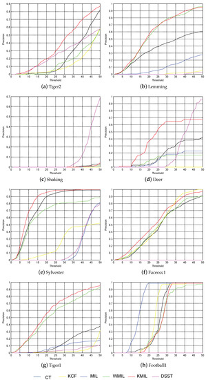 The Kernel Based Multiple Instances Learning Algorithm for Object Tracking