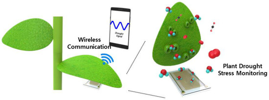 Flexible PI-Based Plant Drought Stress Sensor for Real-Time Monitoring ...