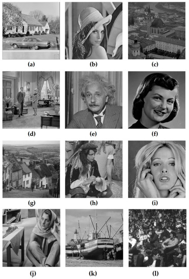 Application of Artificial Neural Network for Image Noise Level Estimation in the SVD domain