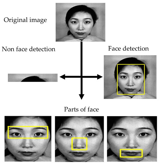 Improved Facial Expression Recognition Based on DWT Feature for Deep CNN