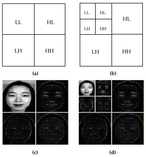 Improved Facial Expression Recognition Based on DWT Feature for Deep CNN