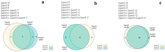 Electronics | Free Full-Text | Layer-Edge Patterns Exploration and Presentation in Multiplex ...