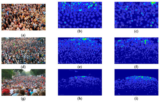 One Shot Crowd Counting with Deep Scale Adaptive Neural Network