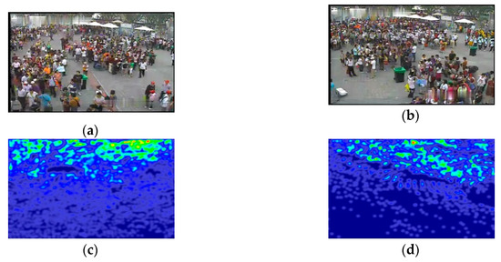 One Shot Crowd Counting with Deep Scale Adaptive Neural Network