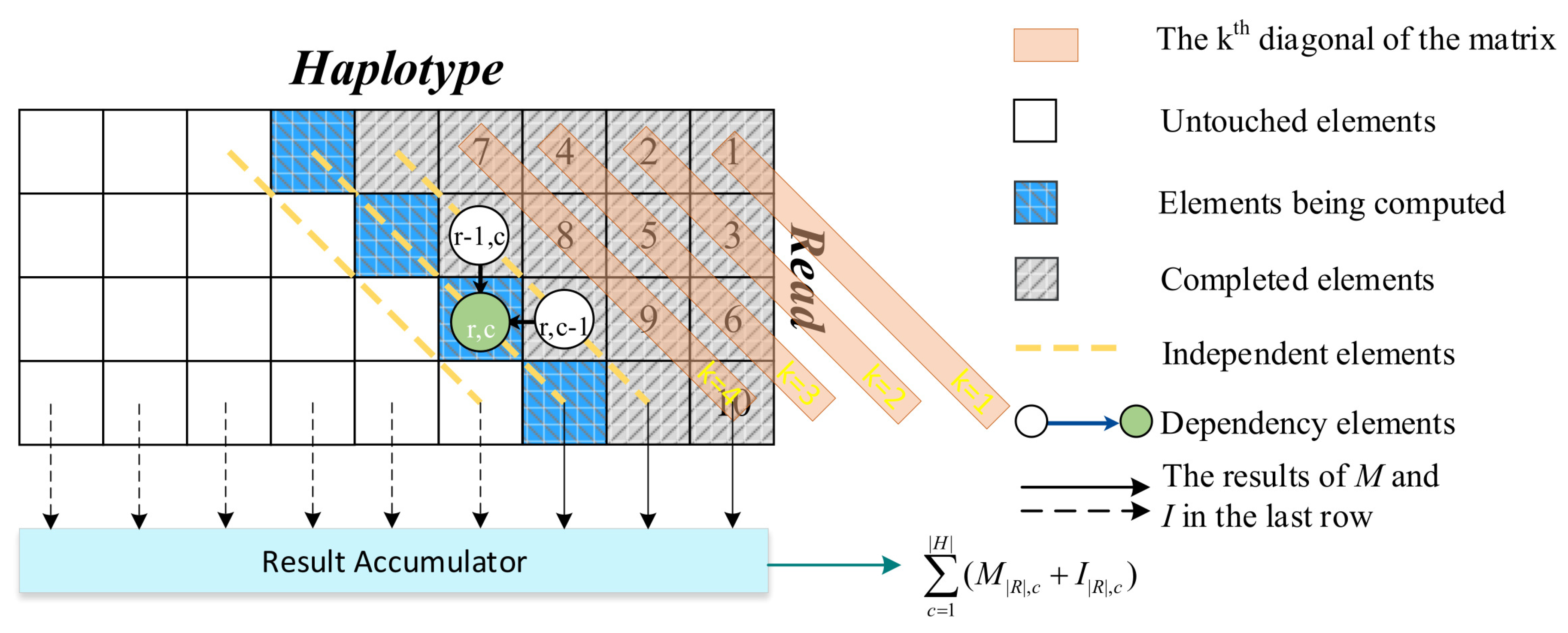 Comparative Analysis of FPGA-Based Pair-HMM Accelerator Structures