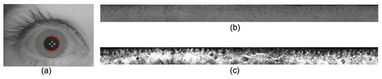 Classification of Genetically Identical Left and Right Irises Using a Convolutional Neural Network