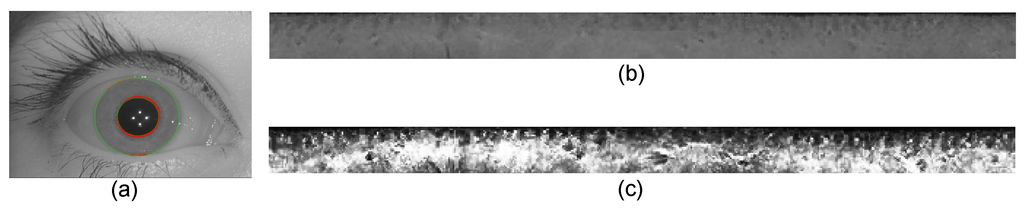 Electronics | Free Full-Text | Classification of Genetically Identical Left and Right Irises ...