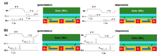 3-D Synapse Array Architecture Based on Charge-Trap Flash Memory for Neuromorphic Application