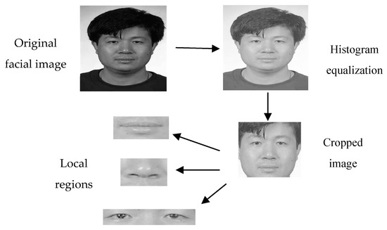 Face–Iris Multimodal Biometric Identification System
