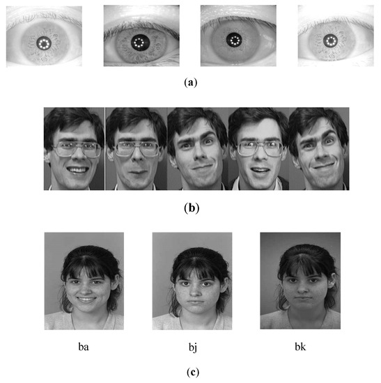 Face–Iris Multimodal Biometric Identification System