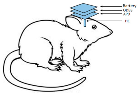 A Closed-Loop Optogenetic Stimulation Device