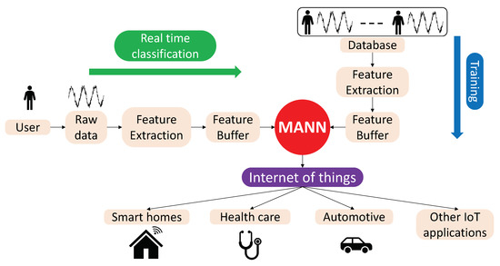Classification of Transition Human Activities in IoT Environments via ...