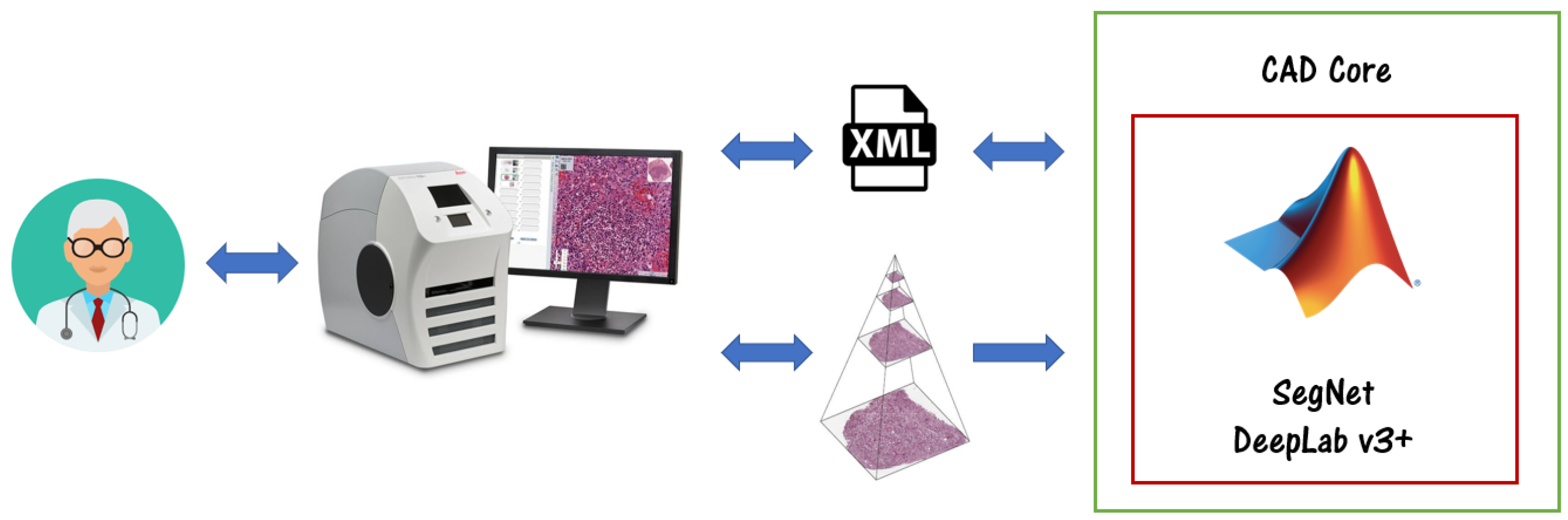 Semantic Segmentation Framework for Glomeruli Detection and Classification in Kidney ...