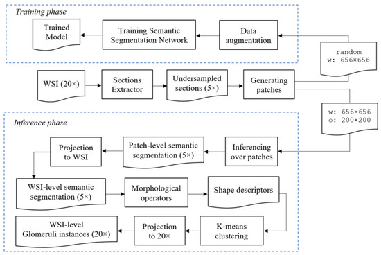 Semantic Segmentation Framework for Glomeruli Detection and Classification in Kidney ...
