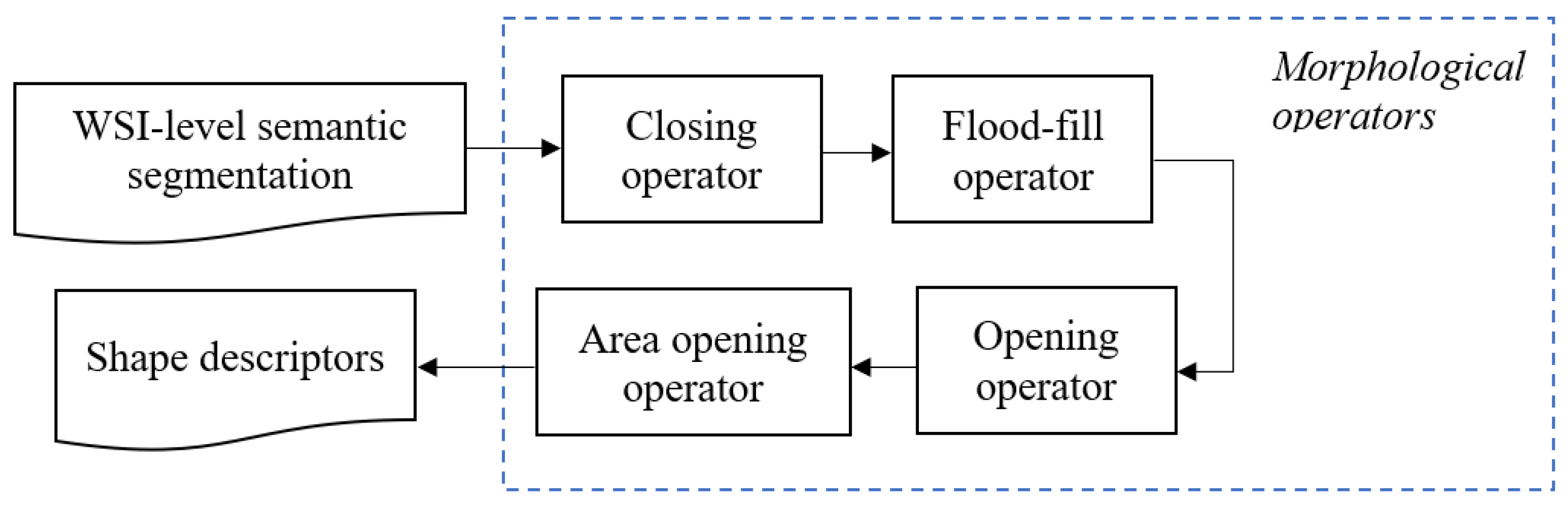 Semantic Segmentation Framework for Glomeruli Detection and Classification in Kidney ...