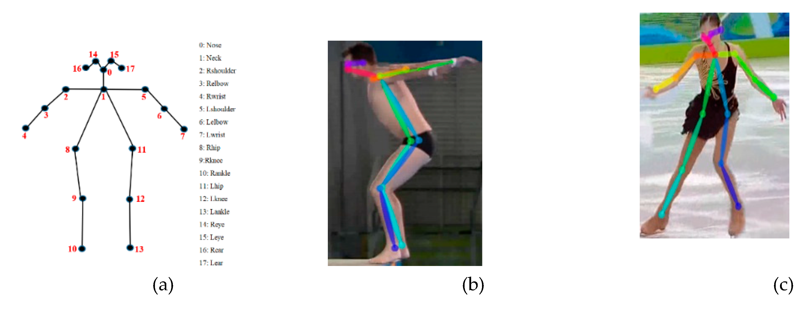 Electronics | Free Full-Text | Learning Effective Skeletal ...