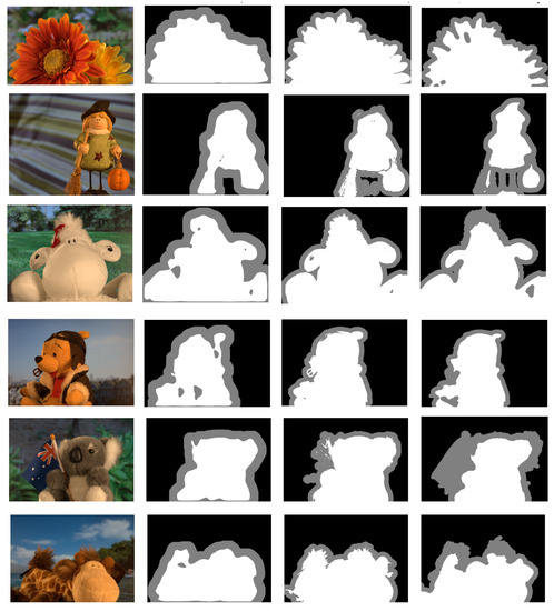 Electronics | Free Full-Text | Interactive Trimap Generation for ...