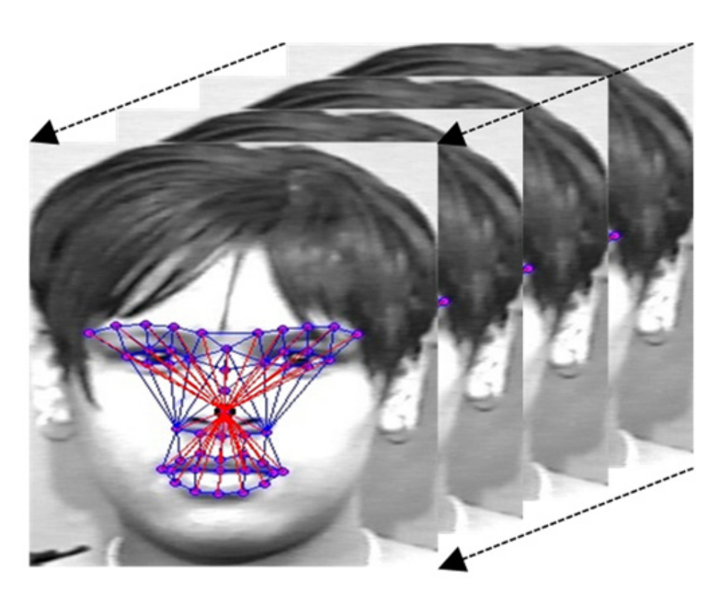 Facial Landmark-Based Emotion Recognition via Directed Graph Neural Network