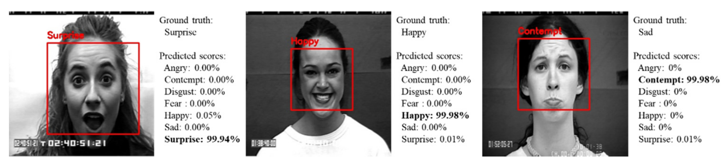 Facial Landmark-Based Emotion Recognition via Directed Graph Neural Network