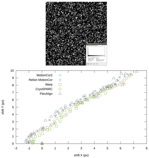 FlexAlign: An Accurate and Fast Algorithm for Movie Alignment in Cryo-Electron Microscopy