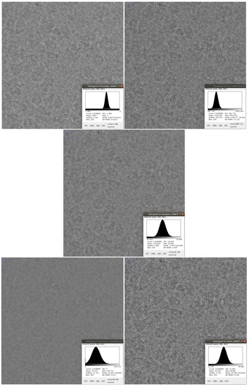 FlexAlign: An Accurate and Fast Algorithm for Movie Alignment in Cryo-Electron Microscopy
