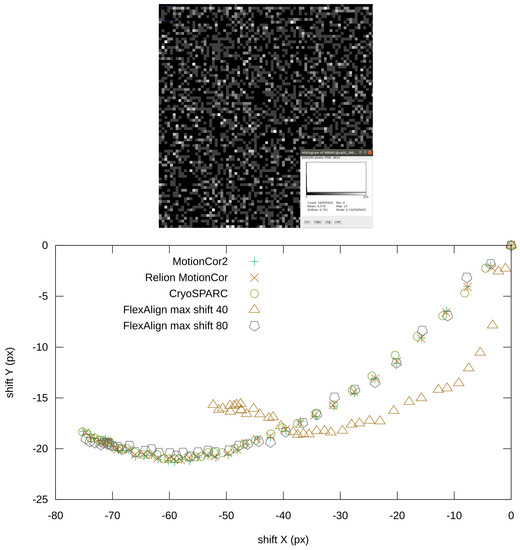 FlexAlign: An Accurate and Fast Algorithm for Movie Alignment in Cryo-Electron Microscopy