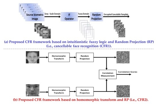 Electronics | Free Full-Text | Efficient Implementation of Homomorphic and Fuzzy Transforms in ...