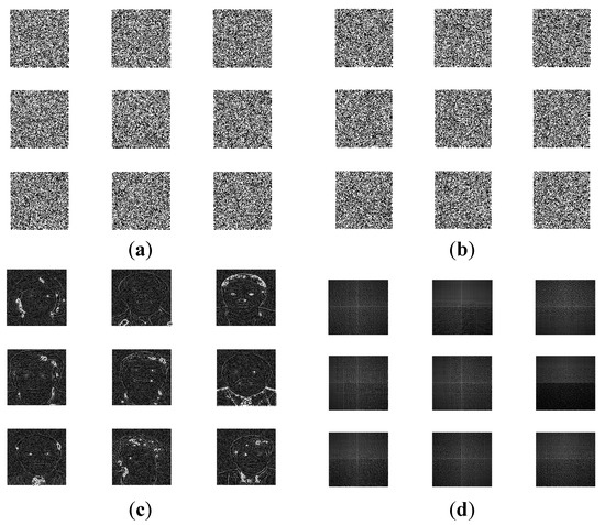 Efficient Implementation of Homomorphic and Fuzzy Transforms in Random-Projection Encryption ...
