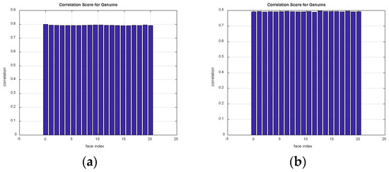 Efficient Implementation of Homomorphic and Fuzzy Transforms in Random-Projection Encryption ...