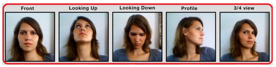 Past, Present, and Future of Face Recognition: A Review