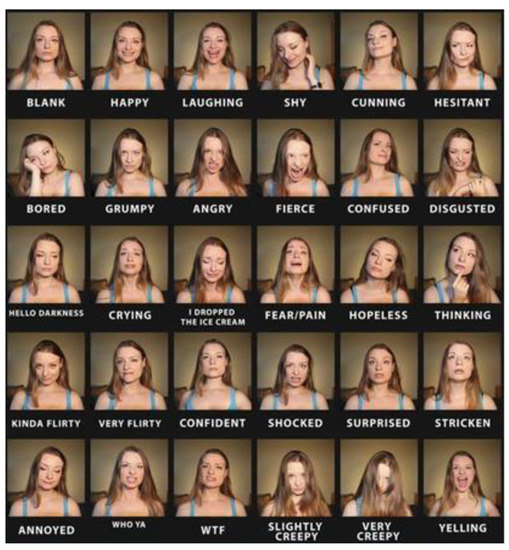 Past, Present, and Future of Face Recognition: A Review