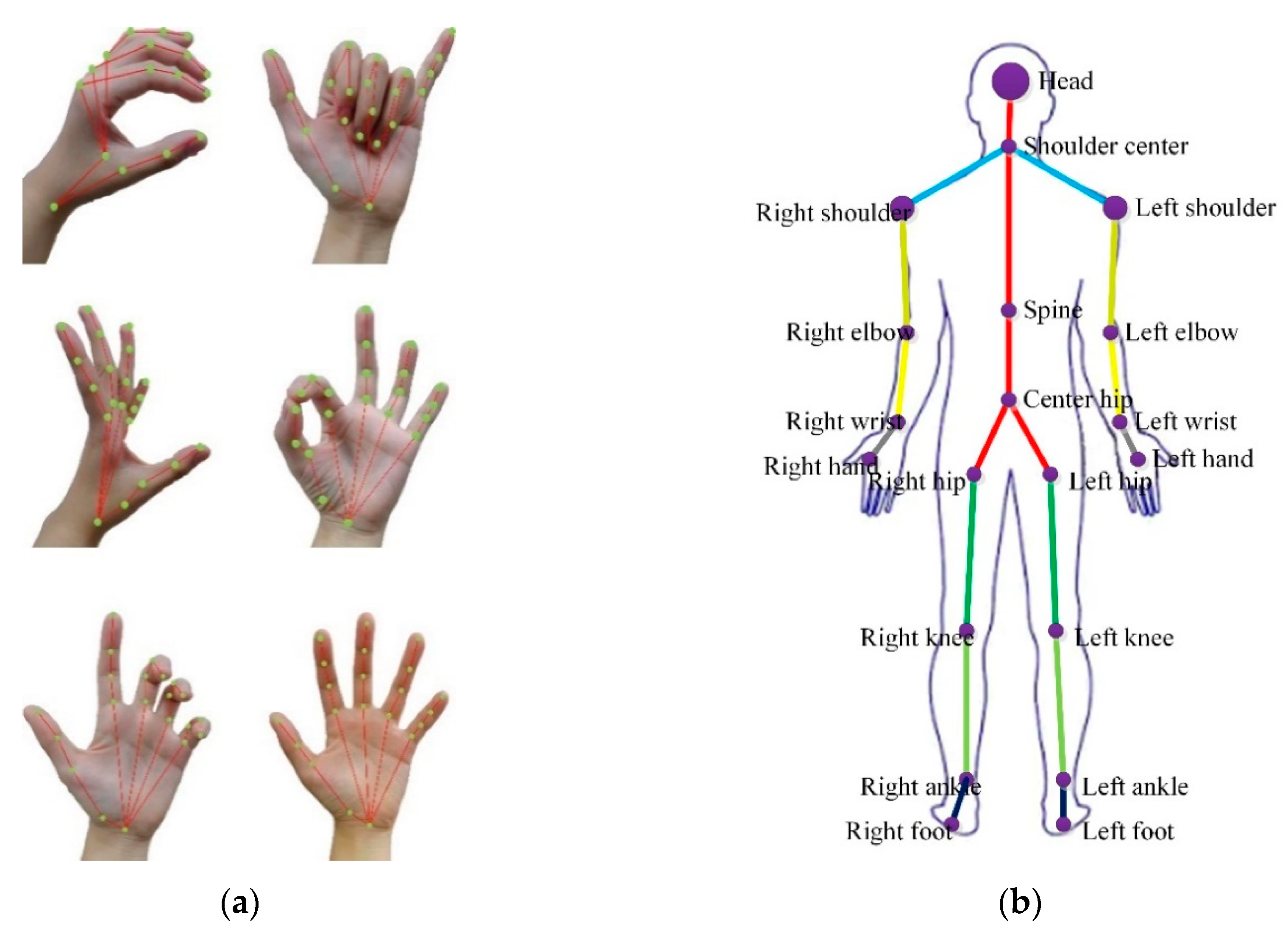 Recent Progress in Sensing and Computing Techniques for Human Activity ...