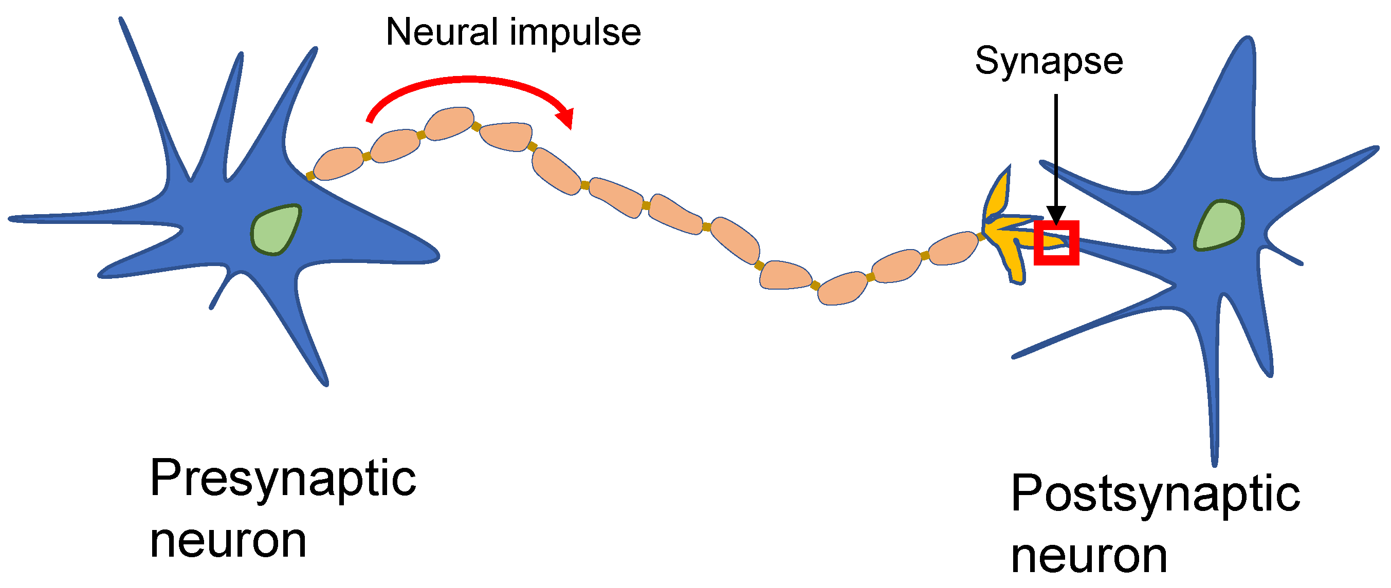 Neuromorphic Computing Using Emerging Synaptic Devices: A Retrospective ...