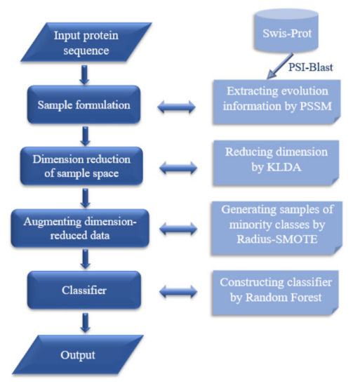 Electronics | Special Issue : Pattern Recognition and Applications