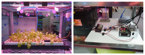 A Study on Modular Smart Plant Factory Using Morphological Image Processing