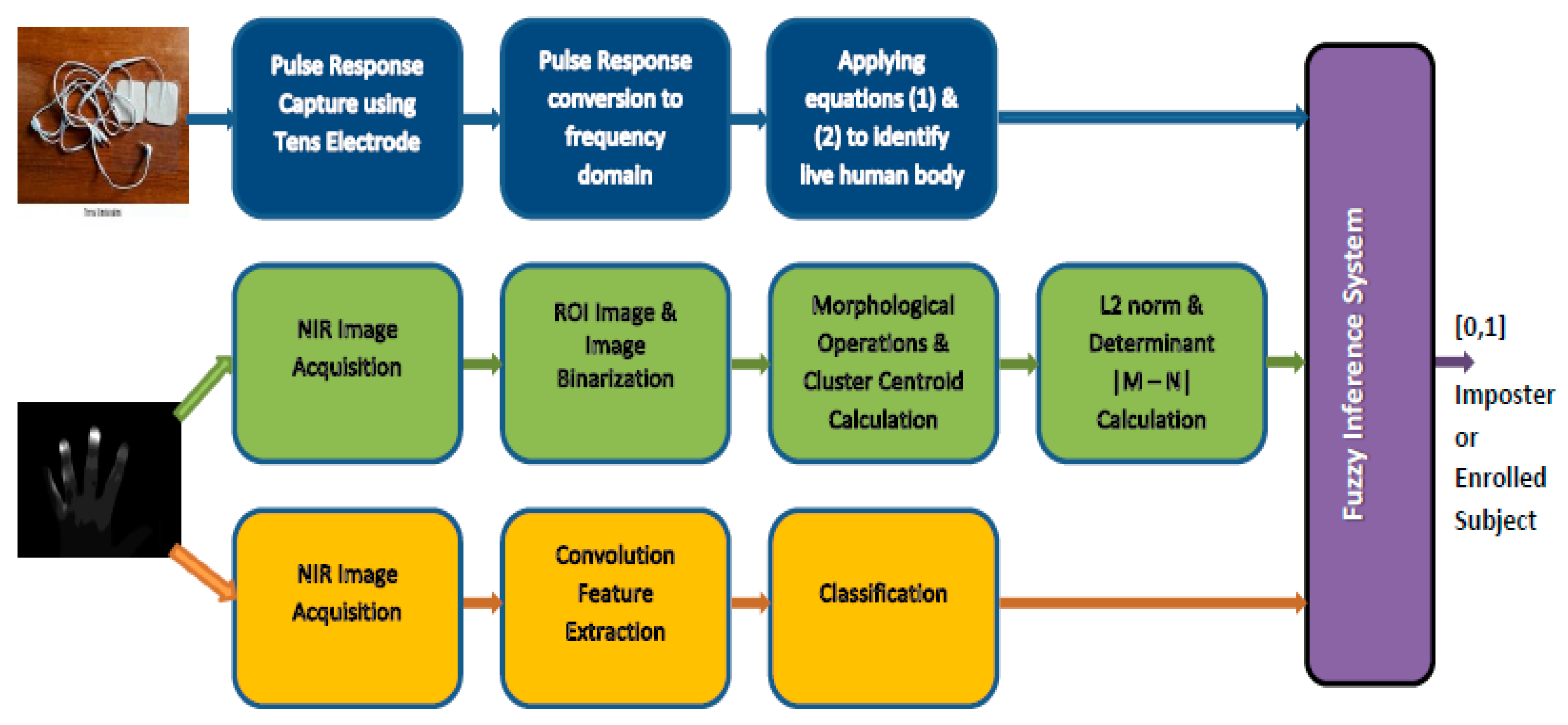 Enhanced Multimodal Biometric Recognition Based upon Intrinsic Hand ...