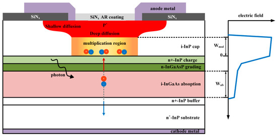 An Accurate Circuit Model for the Statistical Behavior of InP/InGaAs SPAD