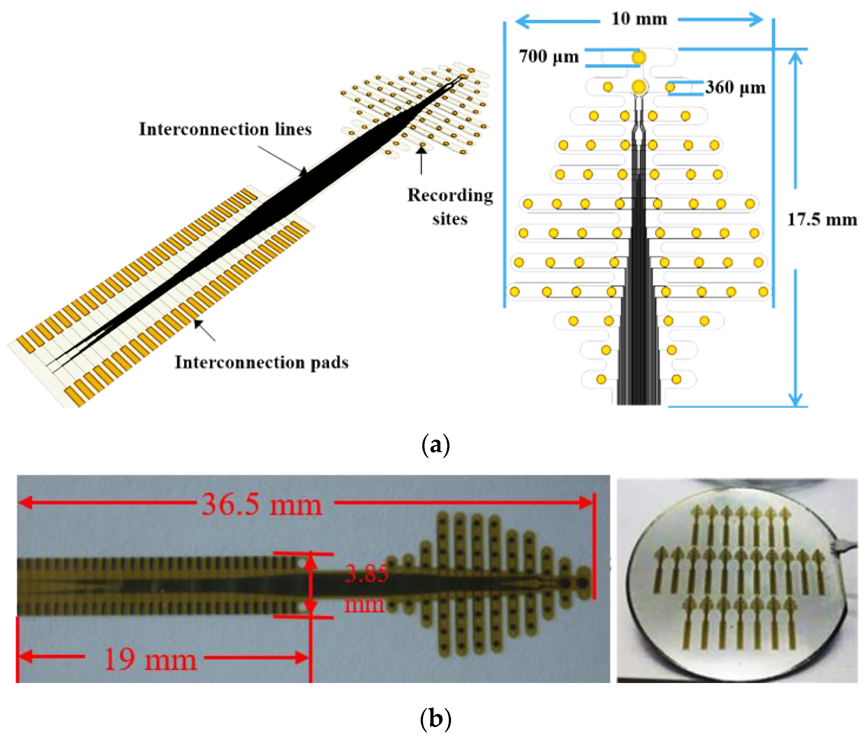 Wafer-Scale Fabrication and Assembly Method of Multichannel ...