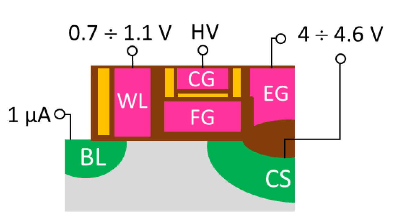 Influence of Common Source and Word Line Electrodes on Program ...
