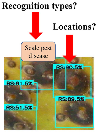 A Smartphone-Based Application for Scale Pest Detection Using Multiple-Object Detection Methods