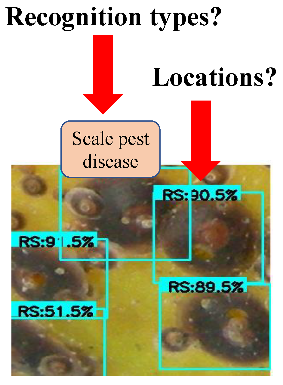 A Smartphone-Based Application for Scale Pest Detection Using Multiple-Object Detection Methods