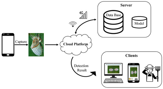 A Smartphone-Based Application for Scale Pest Detection Using Multiple ...